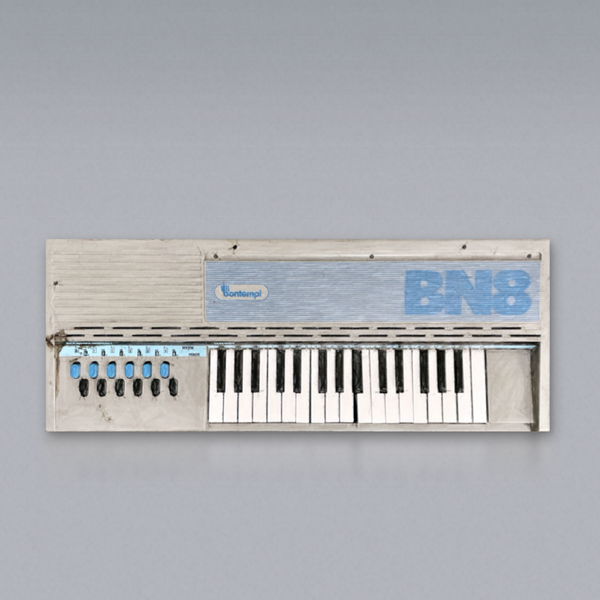 Electric Reed Organ – Edu Prado Sounds